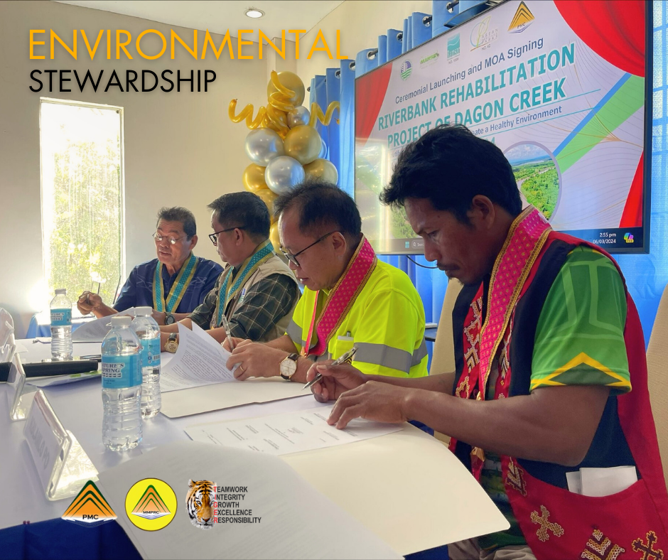 The Vein | Philsaga Mining Corporation