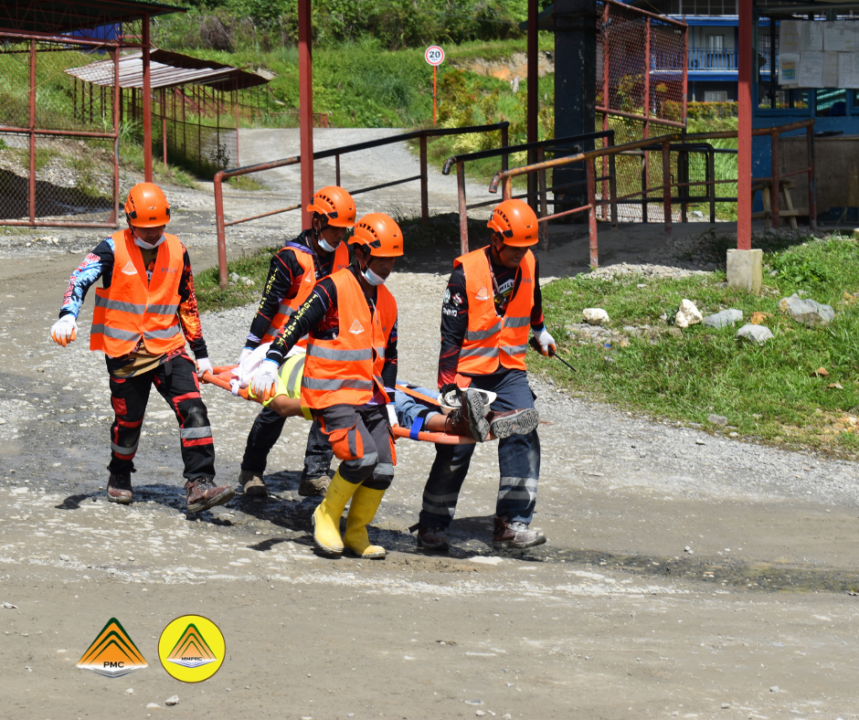 The Vein | Philsaga Mining Corporation