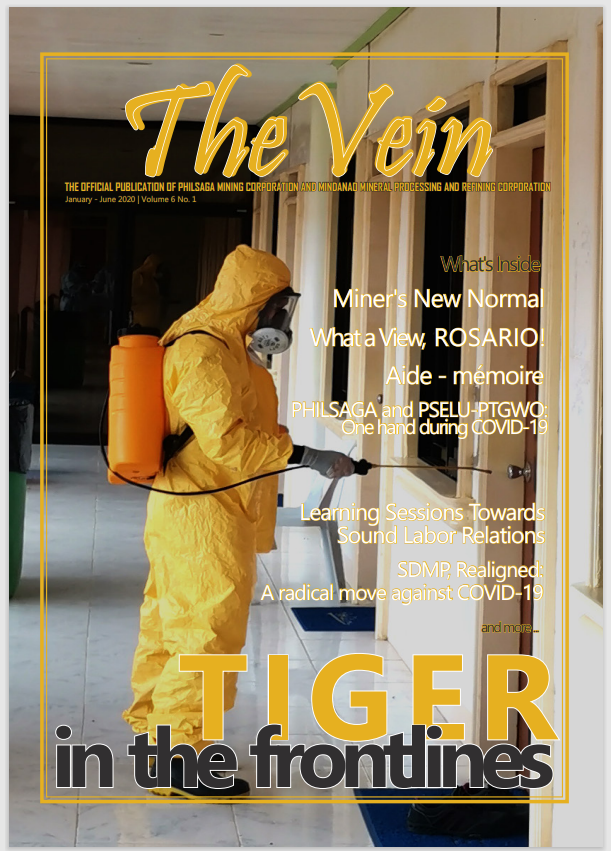 The Vein | Philsaga Mining Corporation